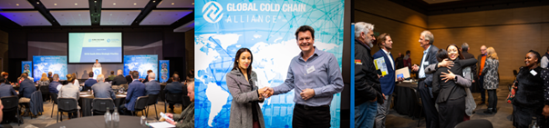 GCCA African Cold Chain Conference - Program - Global Cold Chain Alliance
